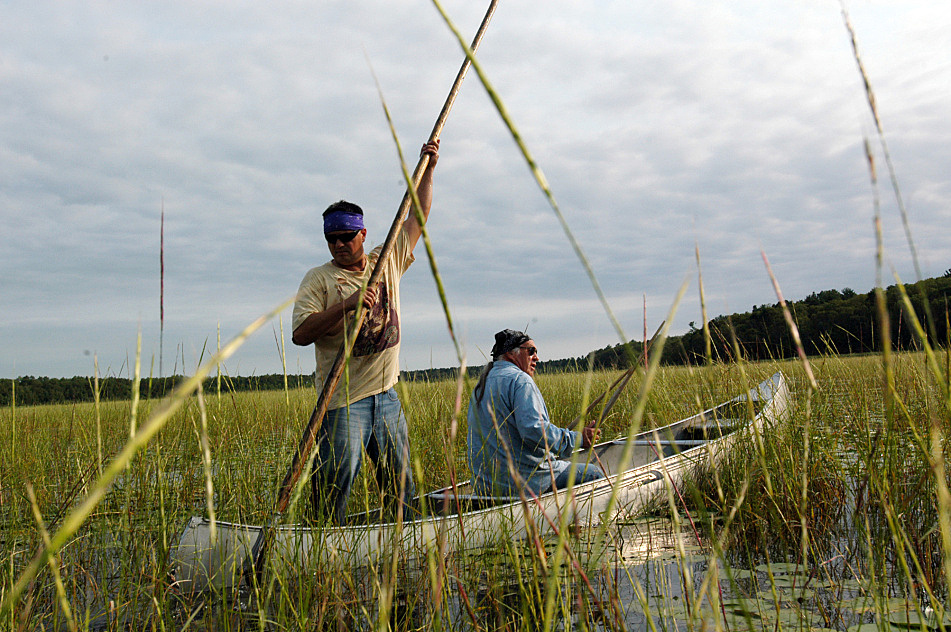 DNR: Tribal members face 'likely' citations today if they revive rice ...