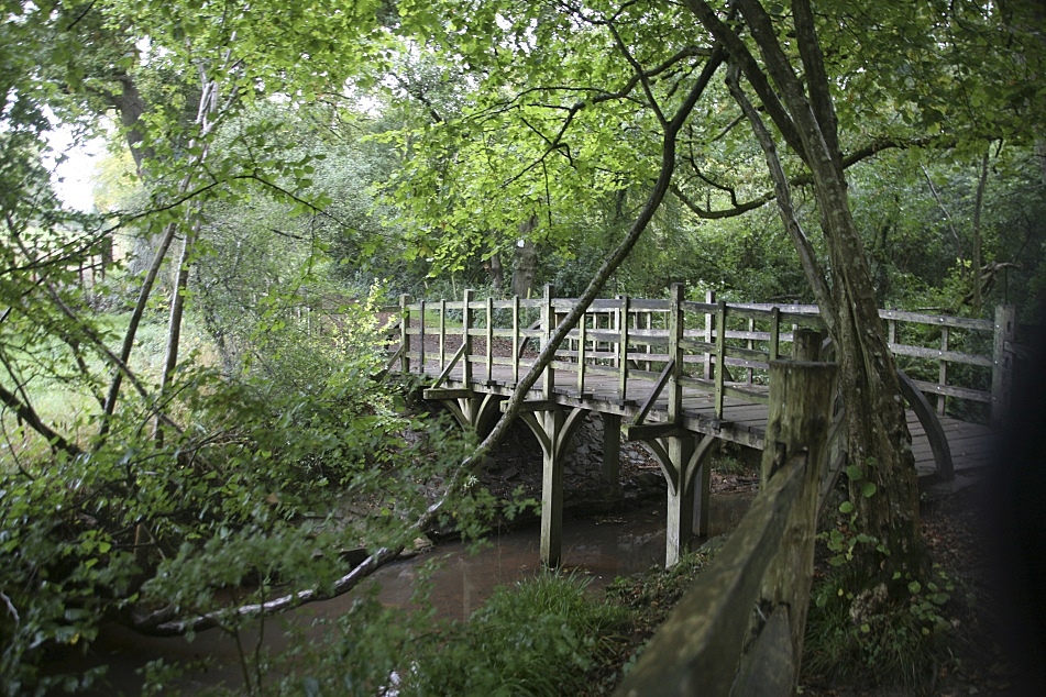 Inside Winnie-the-Pooh's real Hundred Acre Wood | Minnesota Public ...